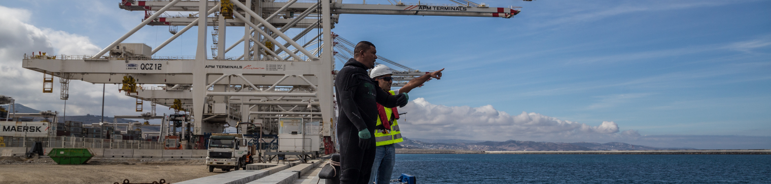 Secteurs - Tanger Med Engineering